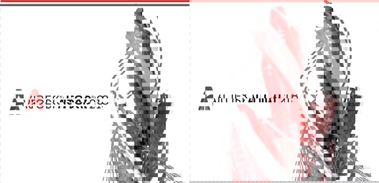 Fatal Error When Launching AutoCAD | Symetri.ie