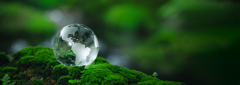 Achieving Net Zero | Simplifying Embodied Carbon Calculations in Revit ...